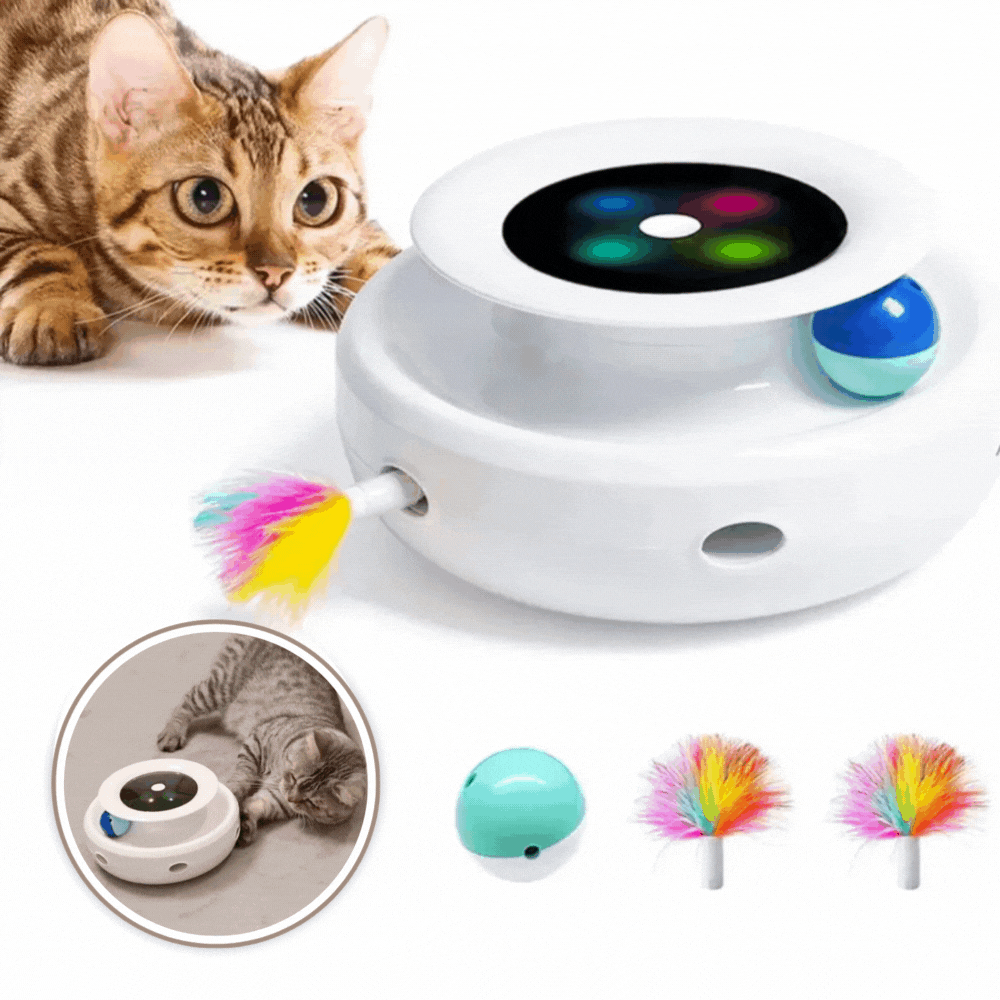 PurrPlay™ | Interaktives 2-in-1-Smart-Katzenspielzeug – Movina Deutschland